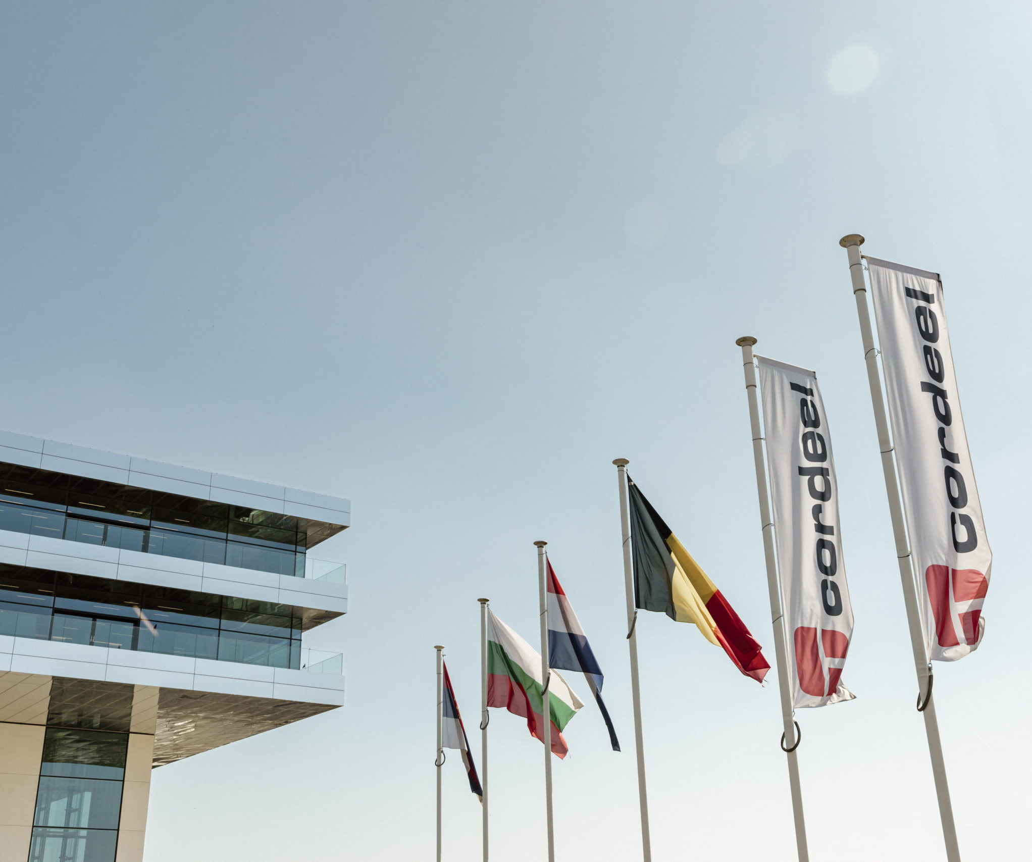 About Cordeel - Cordeel Reports